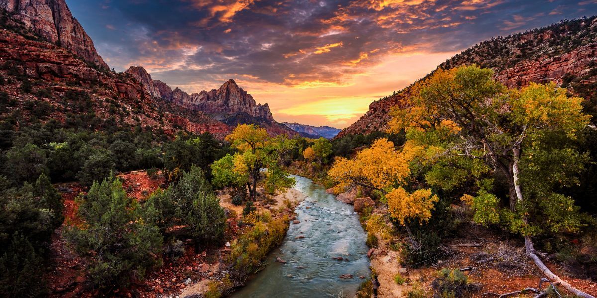 Outdoor: Celebrating National Park Week 2025