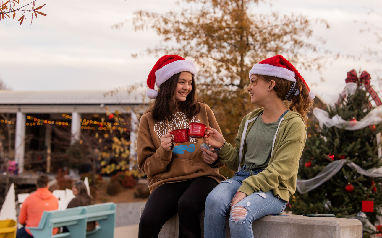 Domo Arigato, Dr. Roboto