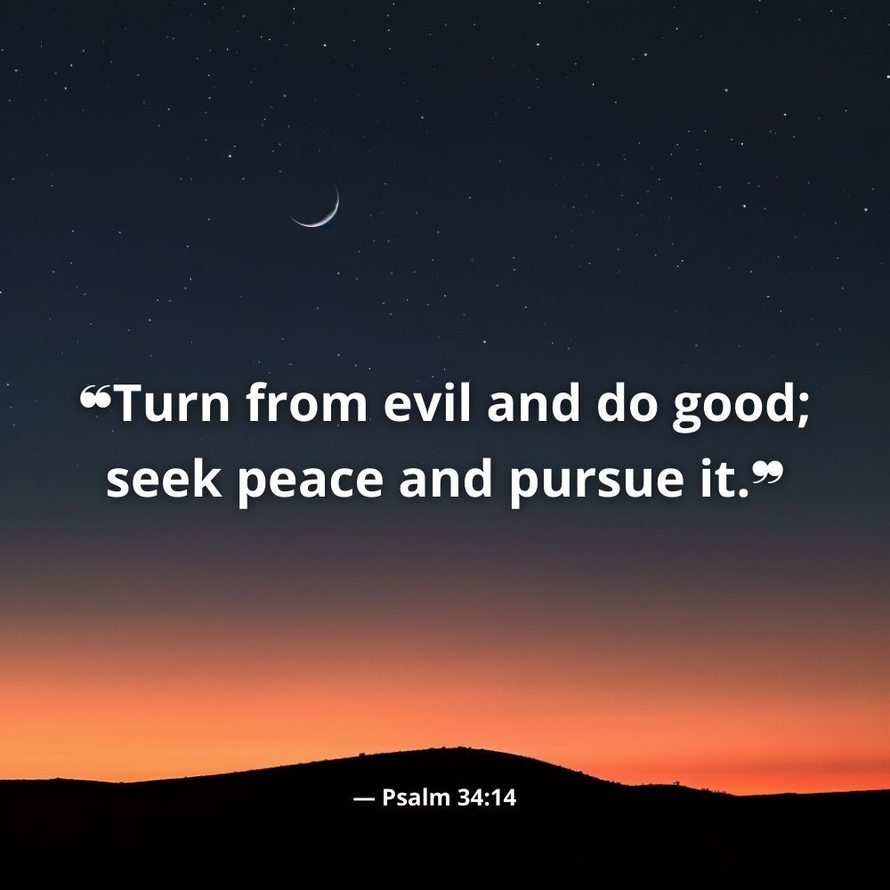 🙏 Verse of the Day: Psalm 34:14
