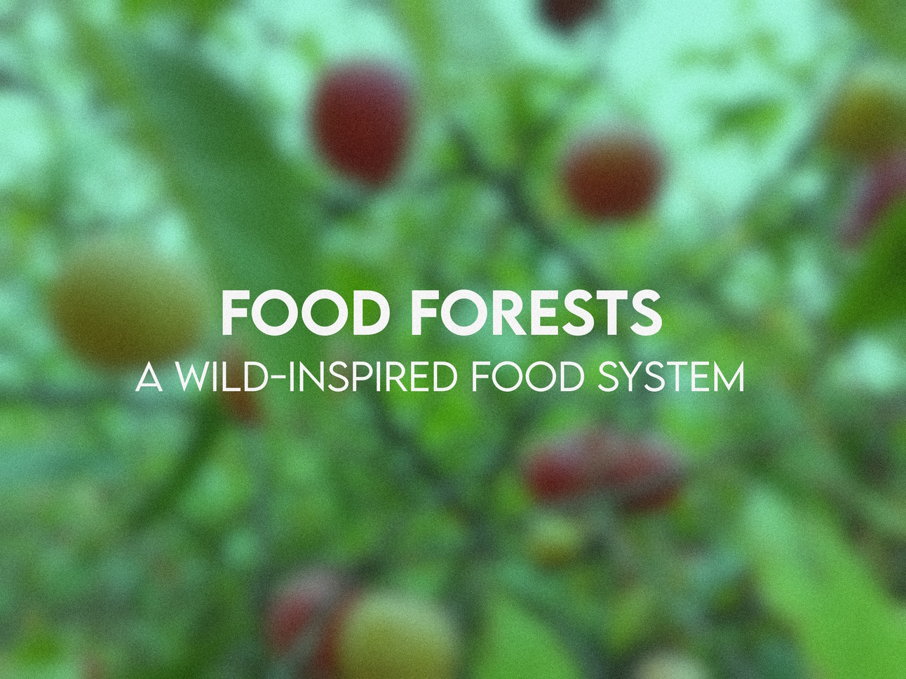 Food Forests