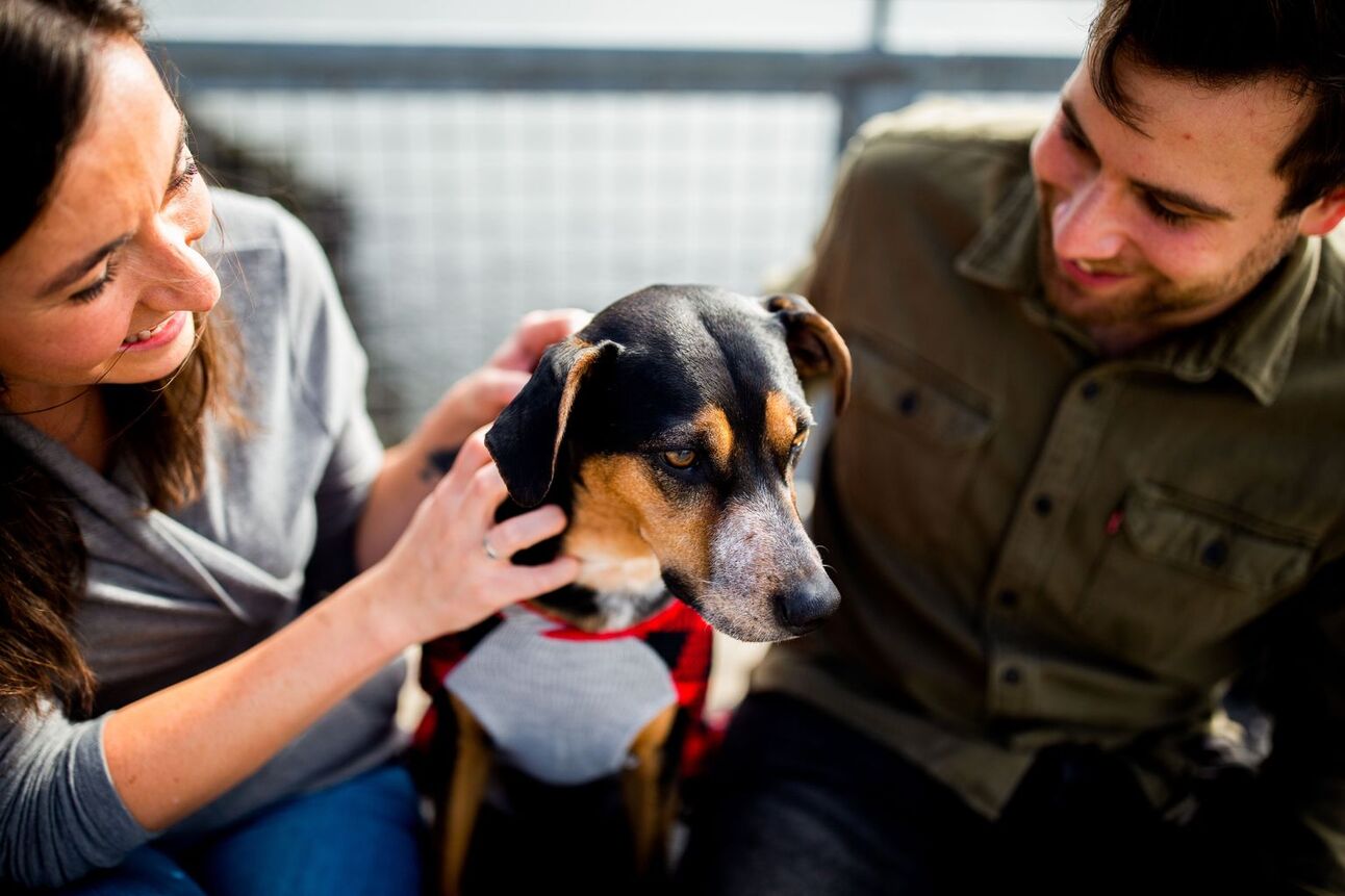 🧠 Is Your Dog a Genius? Try This...