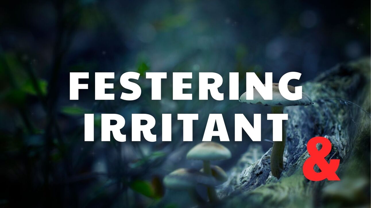 Festering Irritant…