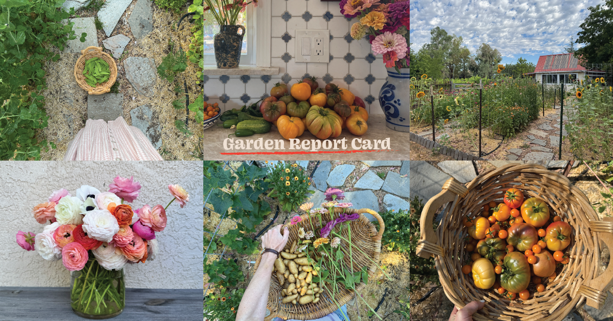 My 2025 Garden Report Card