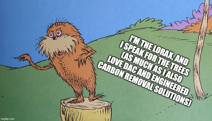 The false binary in carbon markets