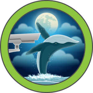 CCTV Machine | HackTheBox