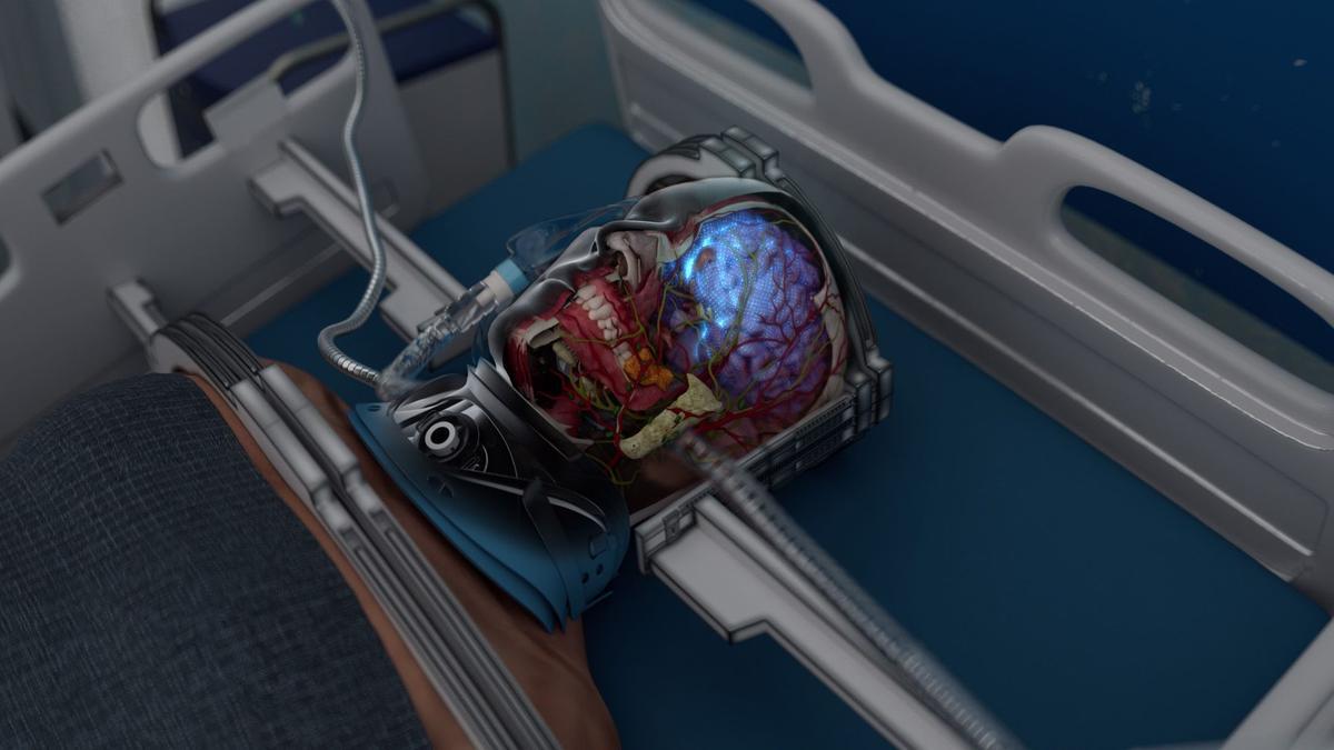 Musk To Build Ai Supercomputer Lab Grown Brains Run First Living Computer And Openai Drama