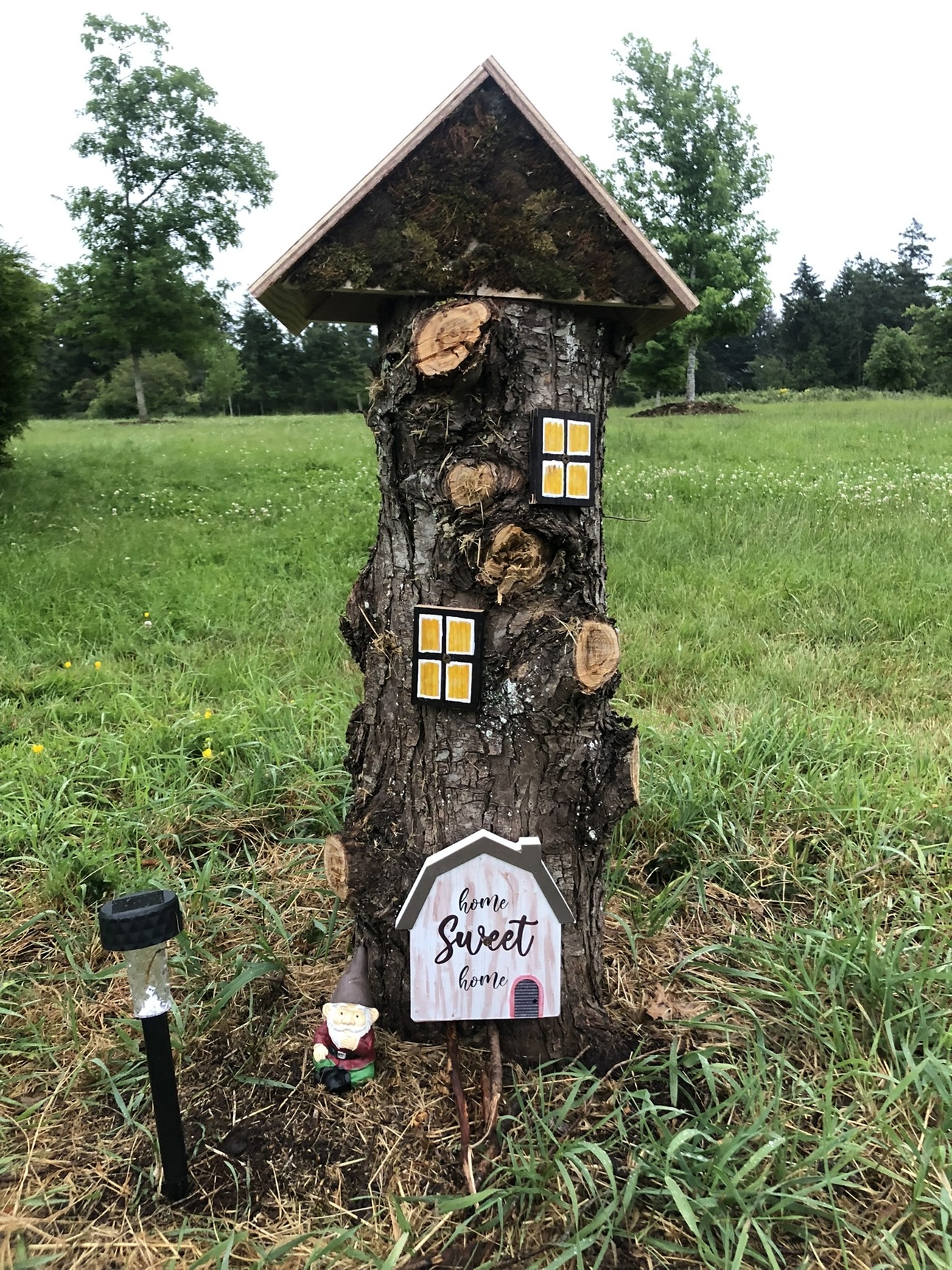 Gnome homes pop up in View Royal