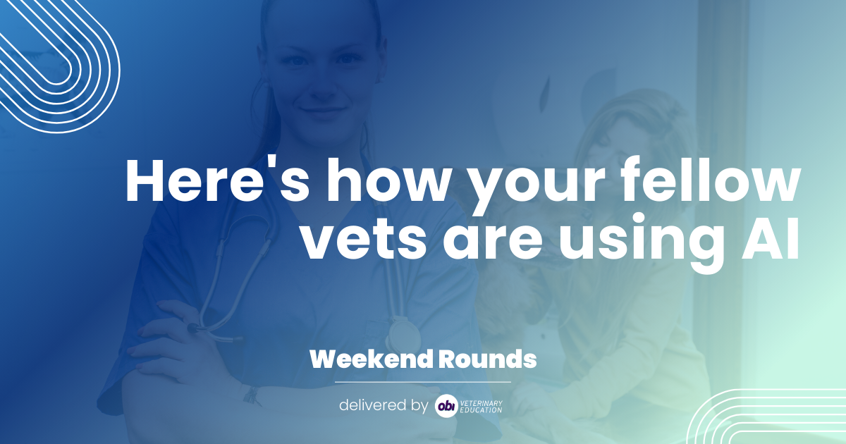 Here's how your fellow vets are using AI