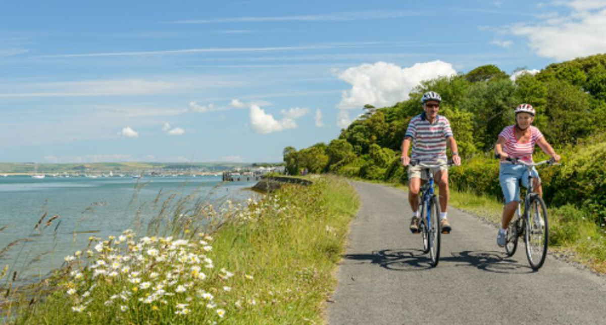 Things to Do in Devon 29.08.24