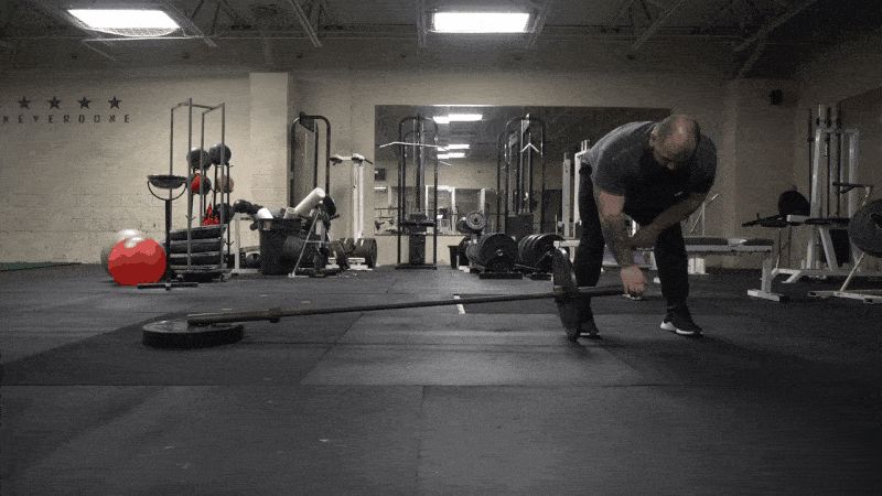 Build a Thicker Back with Meadows Rows