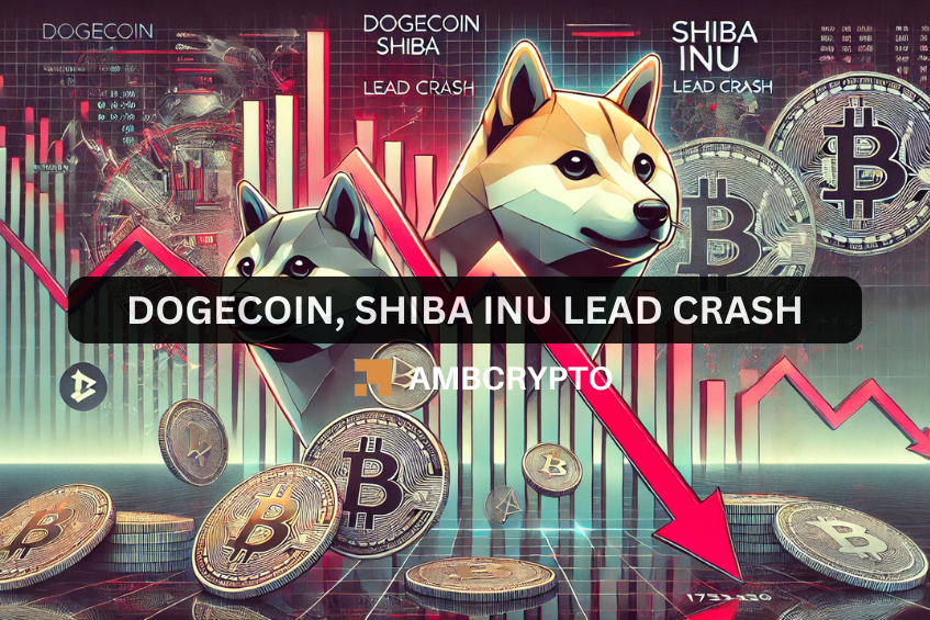 Dogecoin, Shiba Inu lead crash