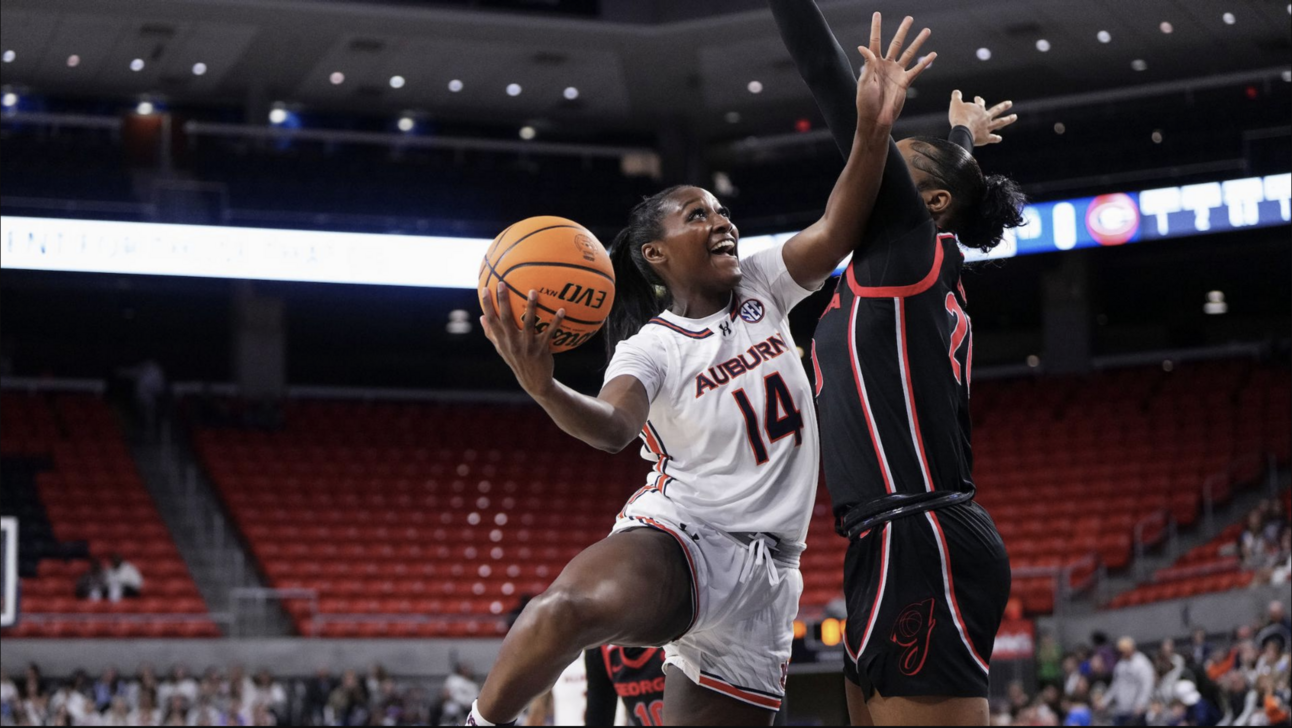 Bodda Getta Daily Brew 1/30: Tenacious D