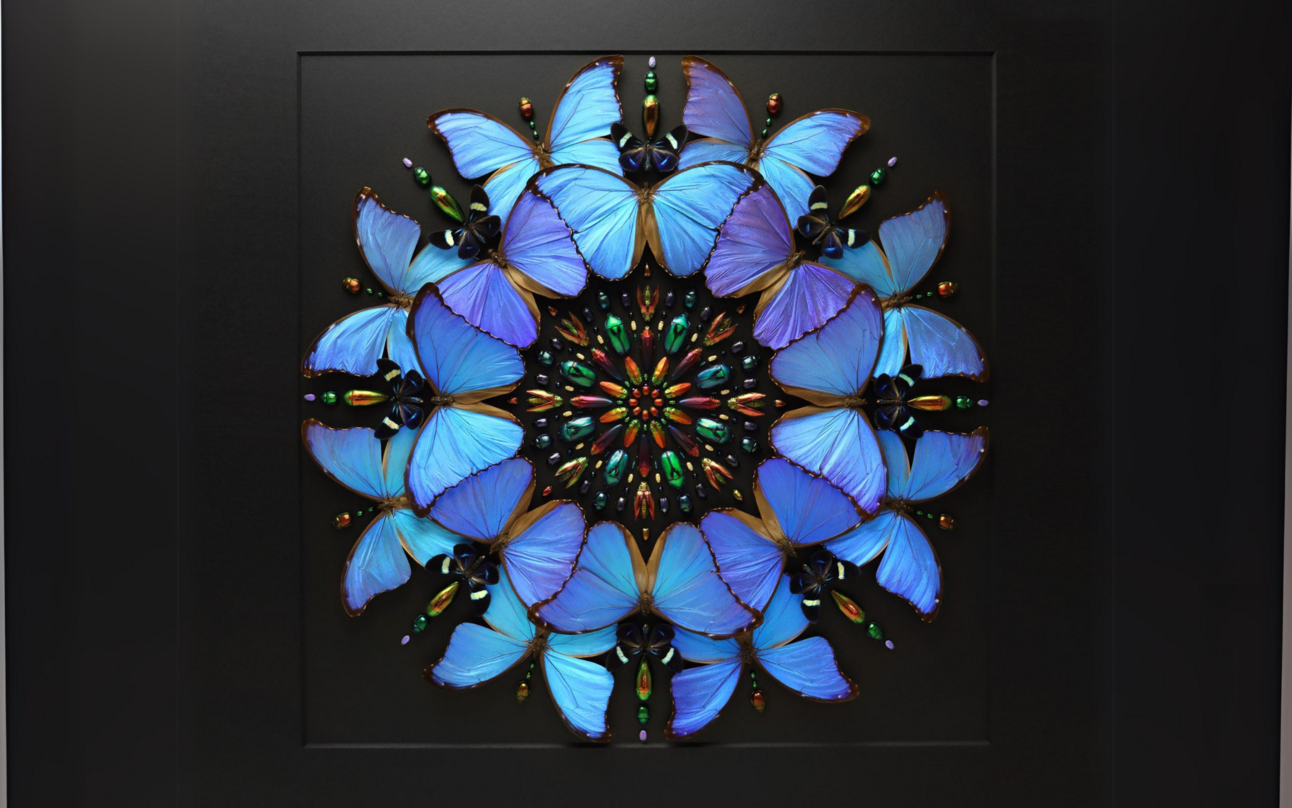 Just One Month Left To Experience The Wonder Of Exquisite Creatures At ...