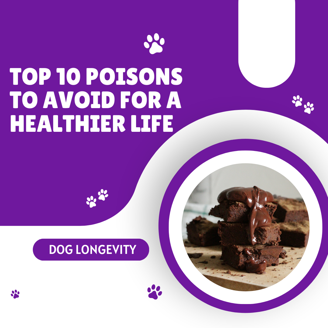[Poll Included] Top 10 Poisons to Avoid for a Healthier Life