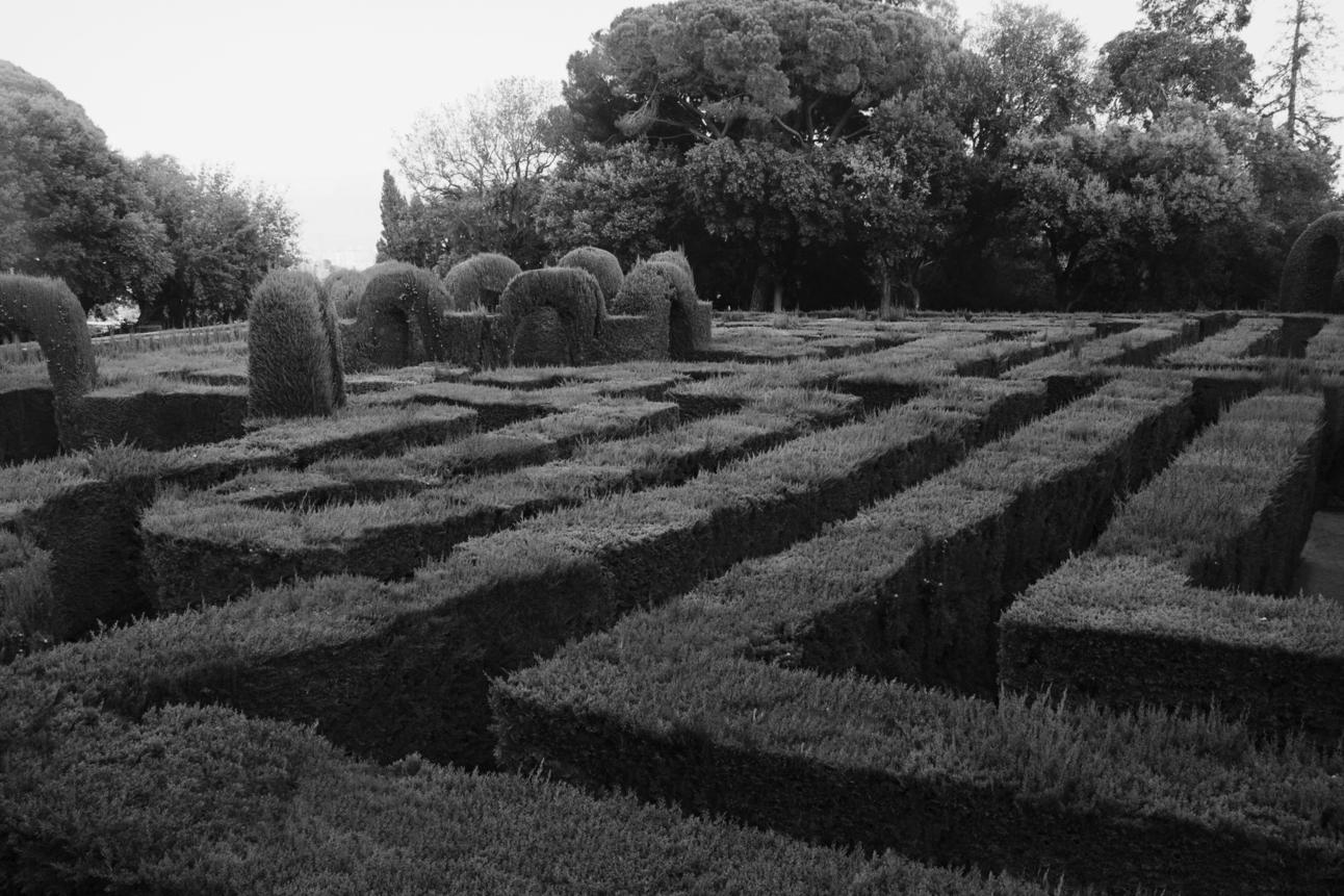 Navigating the Labyrinth