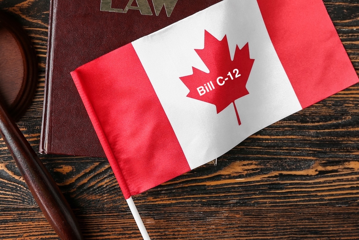 New Canada Immigration Bill C-12 Gives Ottawa Sweeping New Powers Over ...