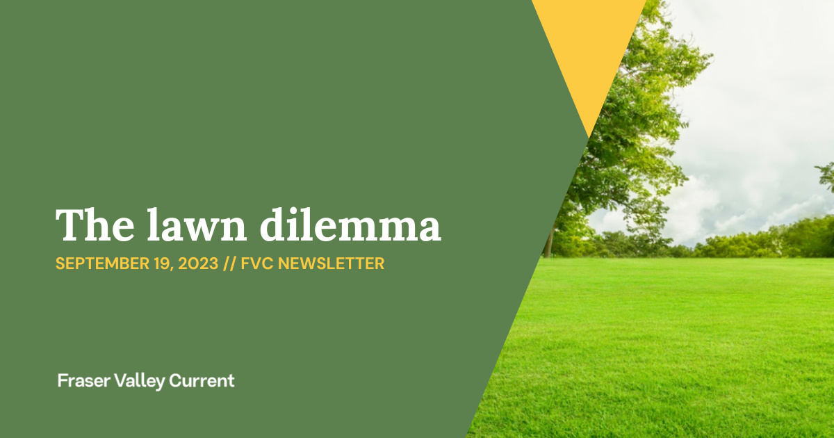 Tuesday, Sept. 19, 2023 - The lawn dilemma