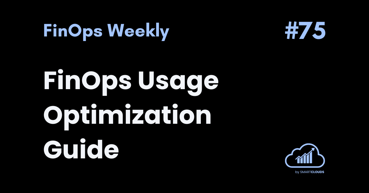 FinOps Guide: Cloud Usage Optimization for Every Business Type