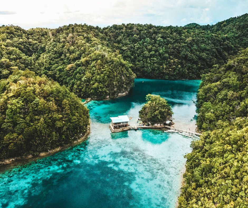 Philippine Flora and Fauna - Discover the Wonders