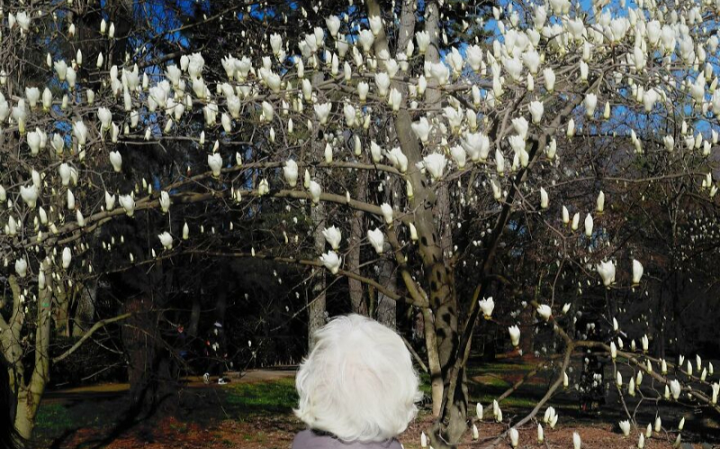 Unlock the Mystery: Mastering a Strong Focal Point in Photography