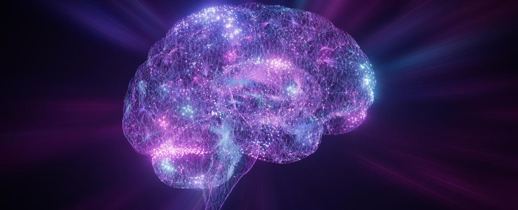 Your brain is birthing neurons