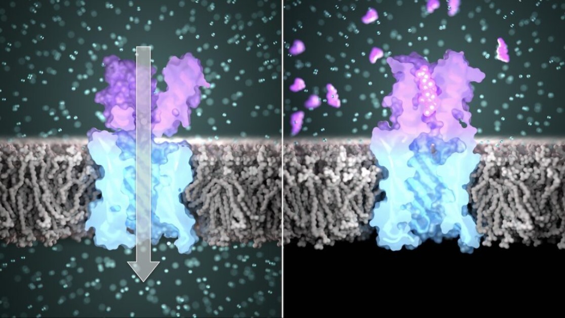 AI protein design: binding small molecules and creating sensors!