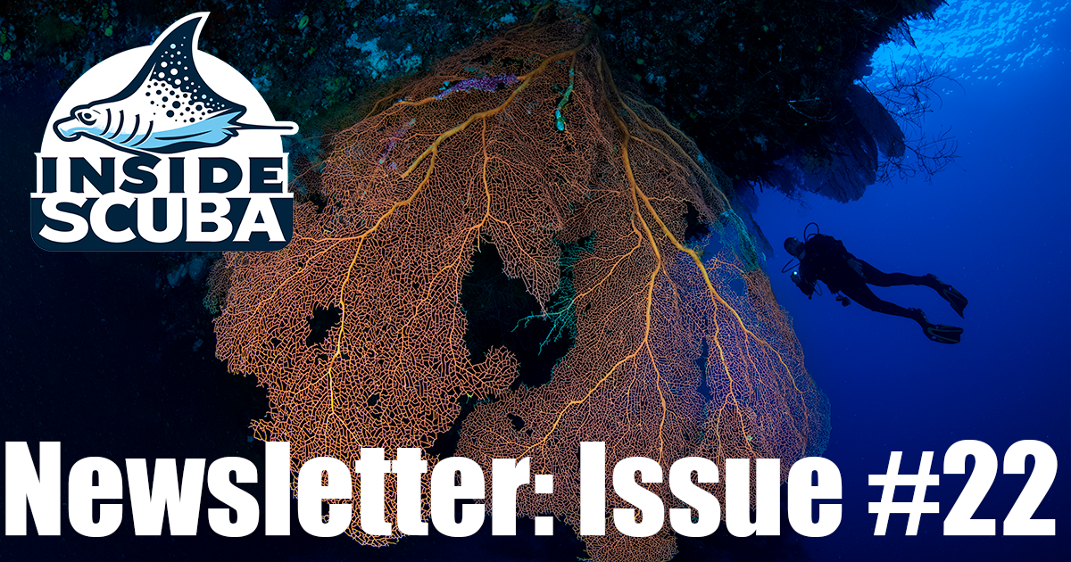 Inside Scuba Issue #22