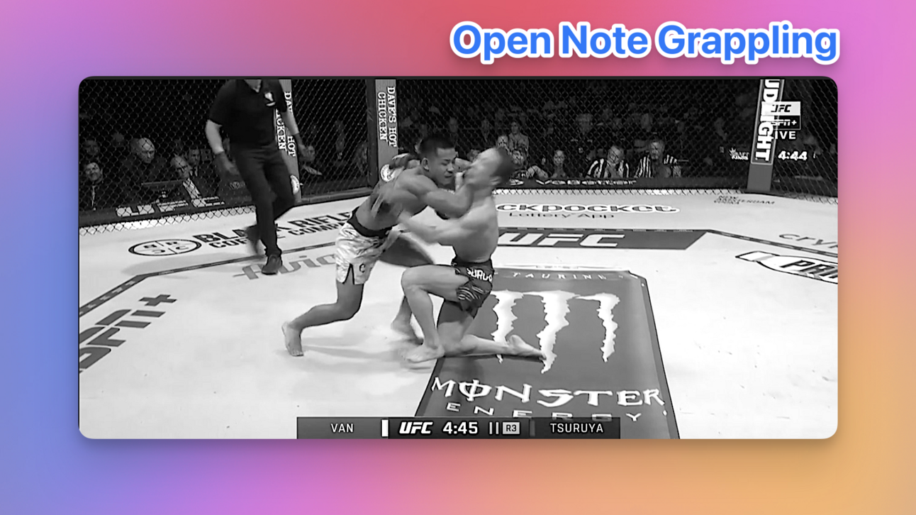 UFC 313's Triangles, Trips, And Violent Takedown Defense