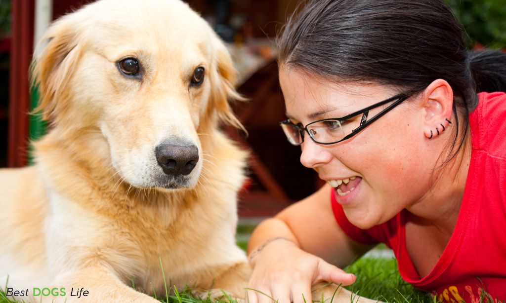 🐶 What’s the best way to talk to your dog?