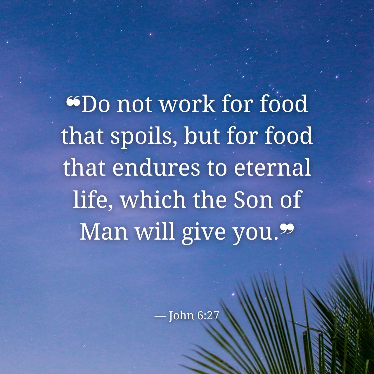 Verse of the Day: John 6:27