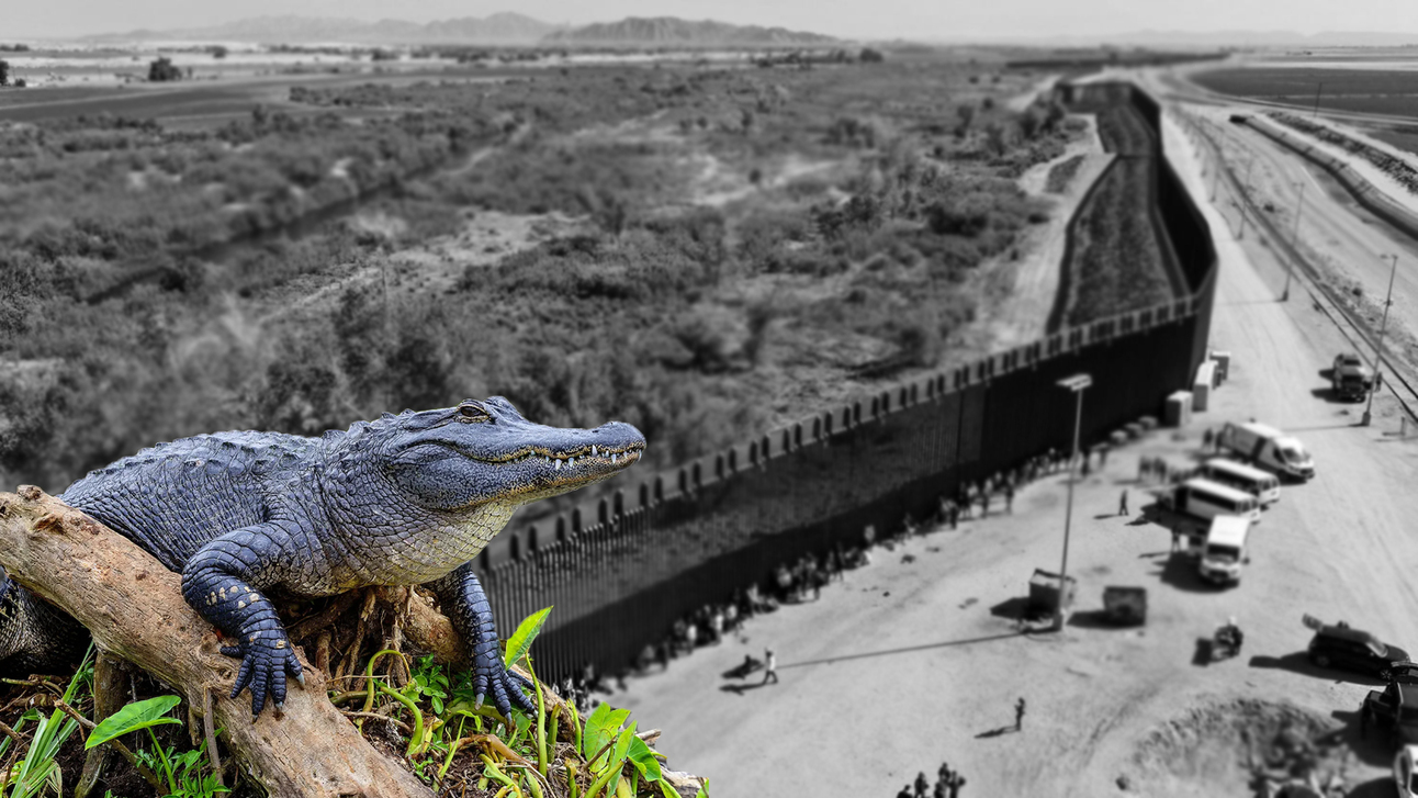 🌊 A Tale of Two Borders