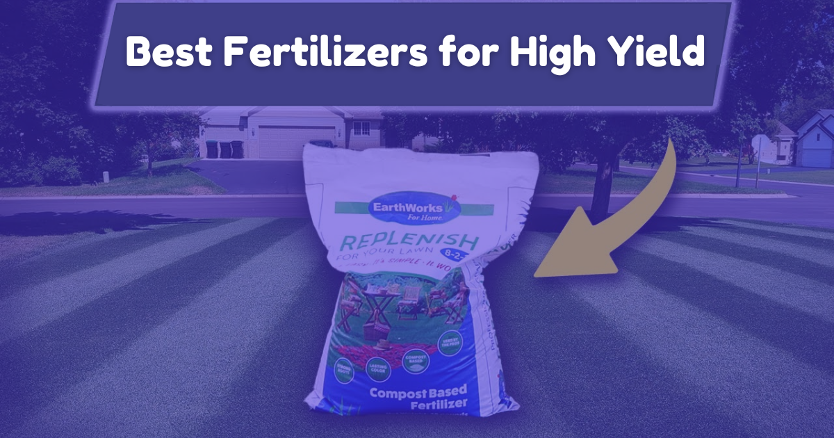 Boost Your Crop Production: Discover the Best Fertilizers for High Yield