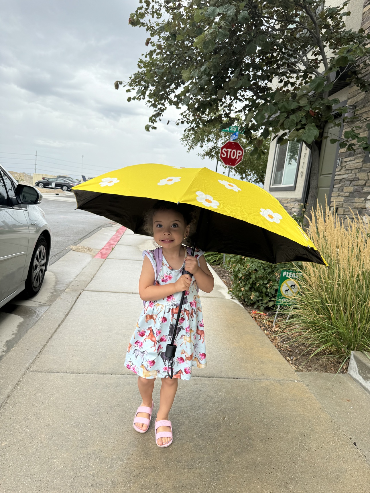 Rain rain, don't go away