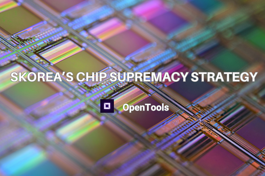 🏋️‍♂️SKorea's Chip Supremacy Strategy