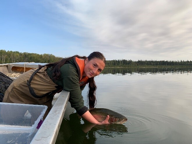 Alberta Stocking 2M Trout for Fishing Season, Including Bow Valley
