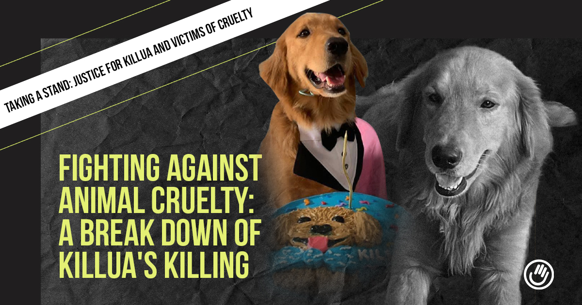 Killua's Killing and the Crusade Against Animal Cruelty 🐶