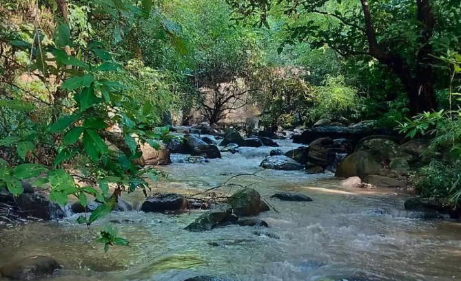 Mountain Notes by Mischa Ko: Nature’s Stoic Lessons