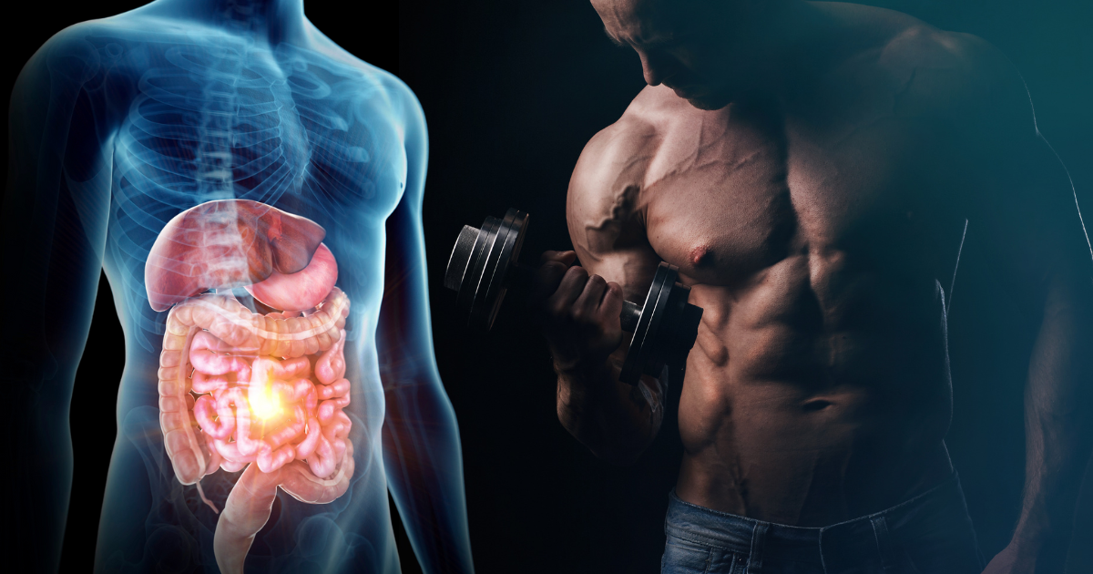 Is Your Gut Health A Silent Gain Killer?