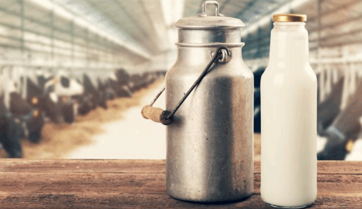 UK seeks clear methanol poisoning travel alerts; CDC warns of bird flu ...