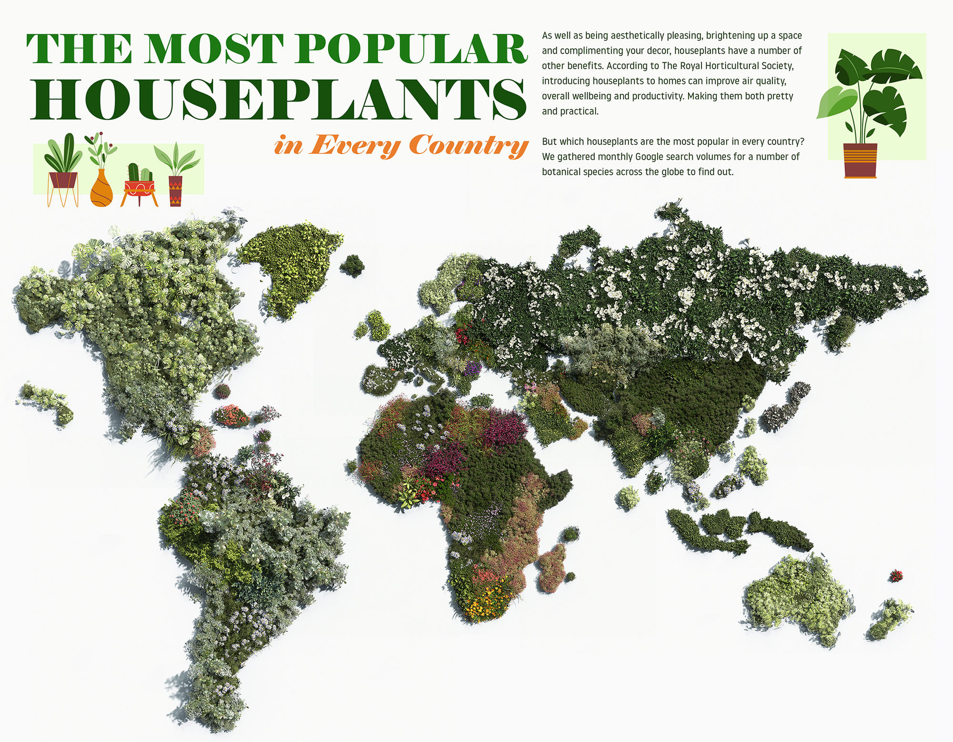 The Most Popular Houseplants in Every Country