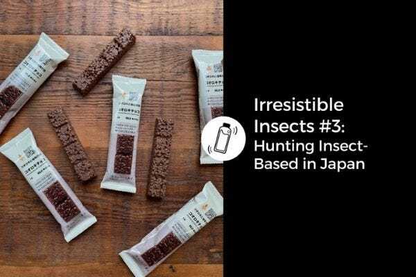Irresistible Insects #3: Hunting Insect-Based in Japan