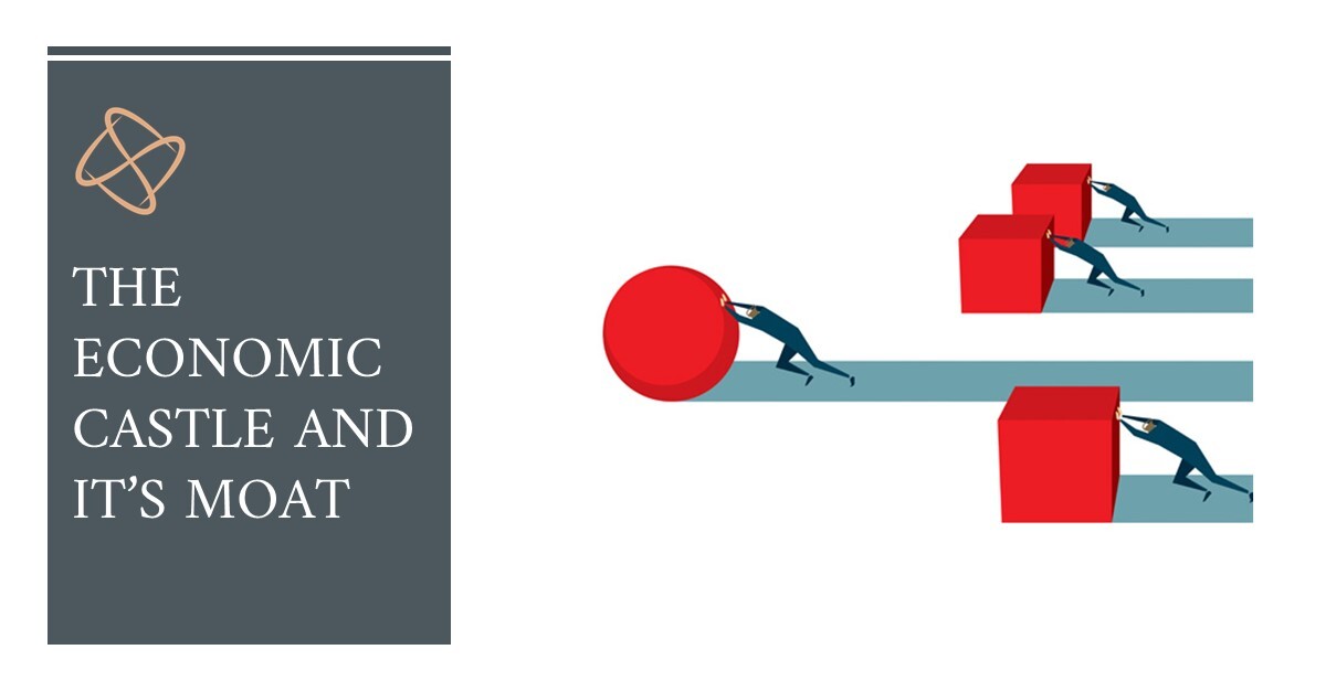 Economic Moat Company Examples