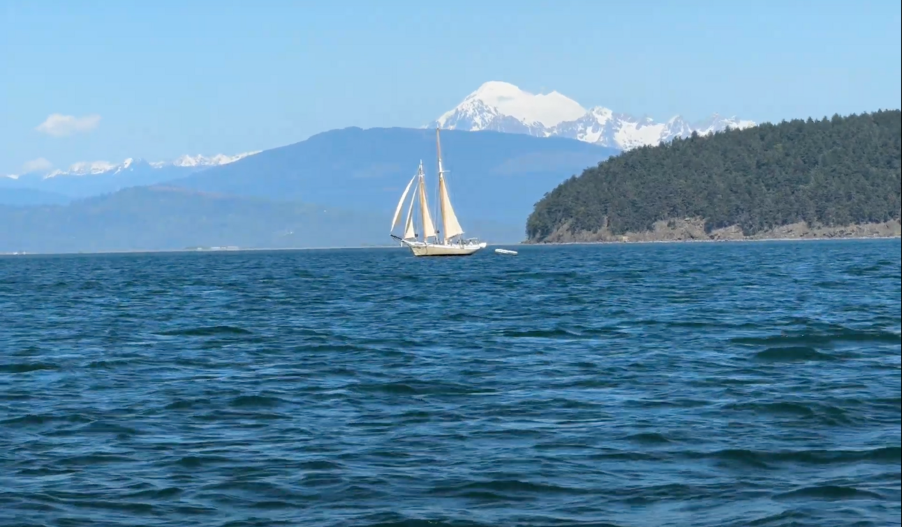 #10. You should take a break and go sailing in AnaCortez.