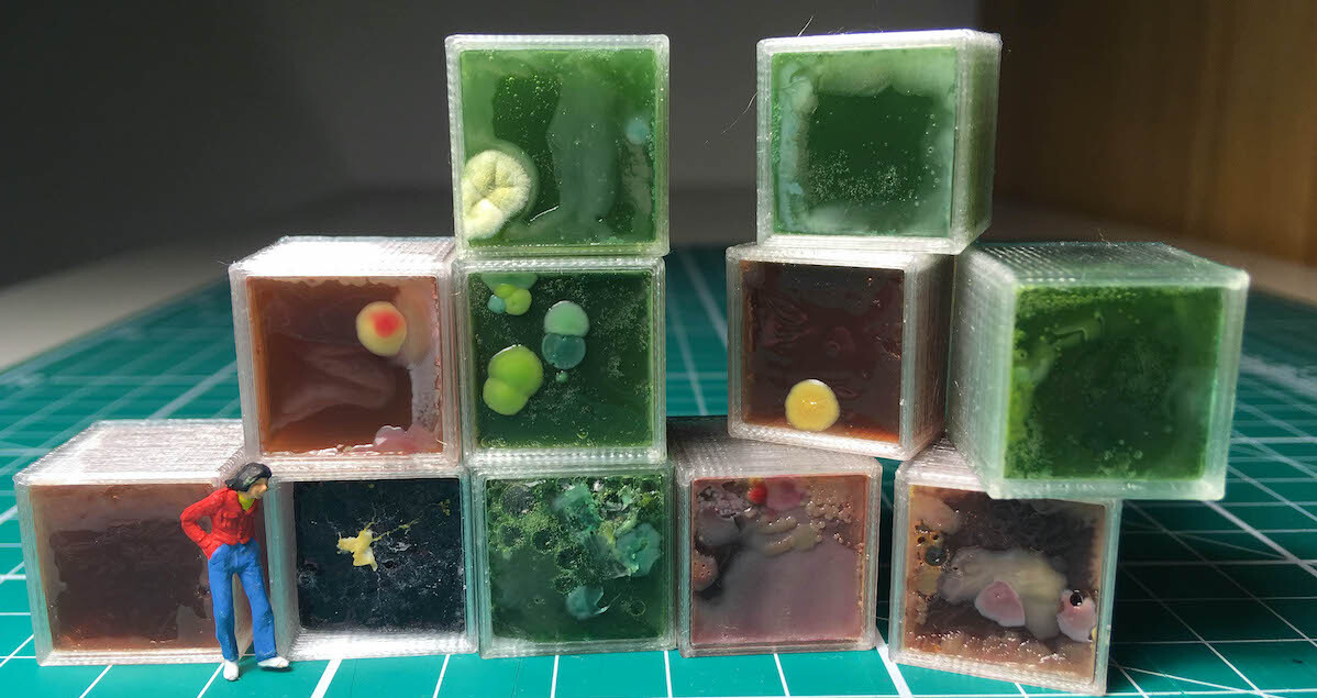 Canvassing, DIY Microbiome Culturing, Mycelium Digital Twins, and more!