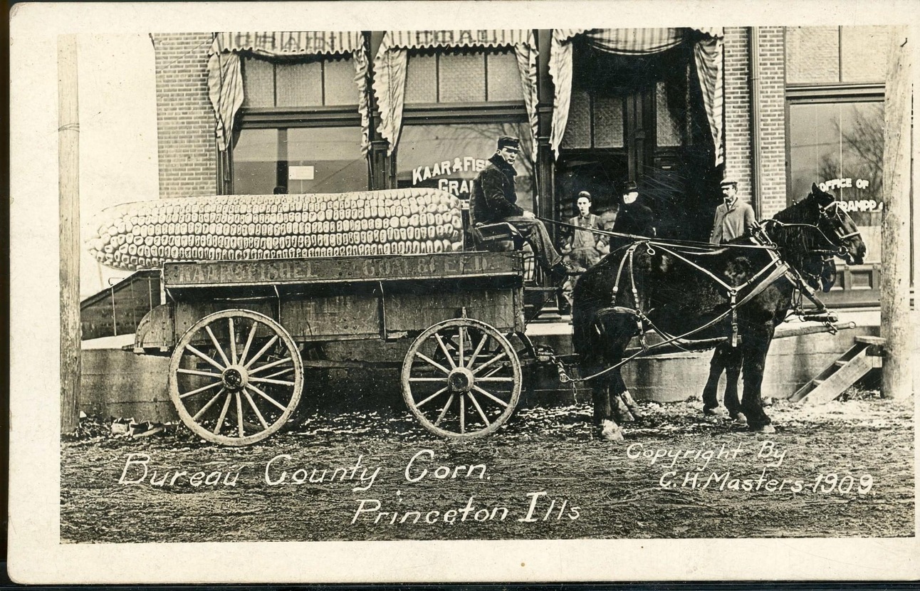 🌽Sweet Corn, Back to School, and Pageants
