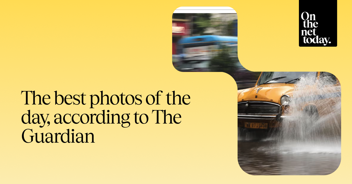The best photos of the day, according to The Guardian
