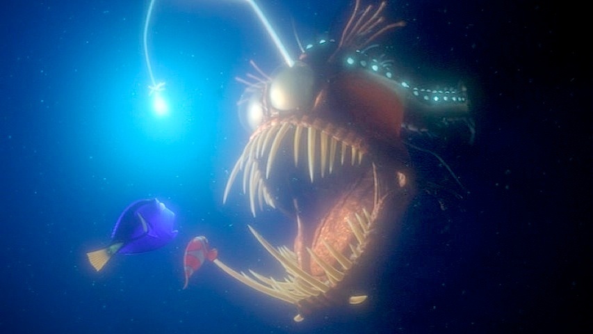 Our Love of Anglerfish