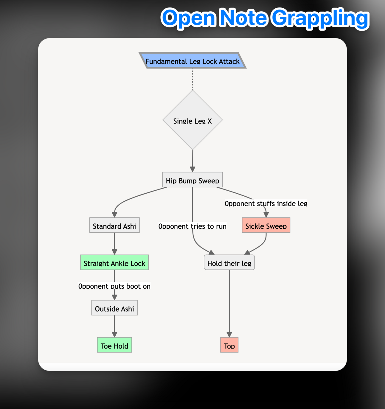 A Fundamental Leg Lock System