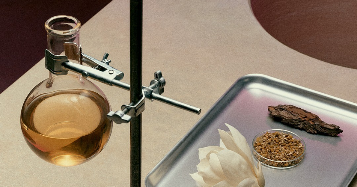 A Guide to Biological Age Reversal | Vitals & Variables