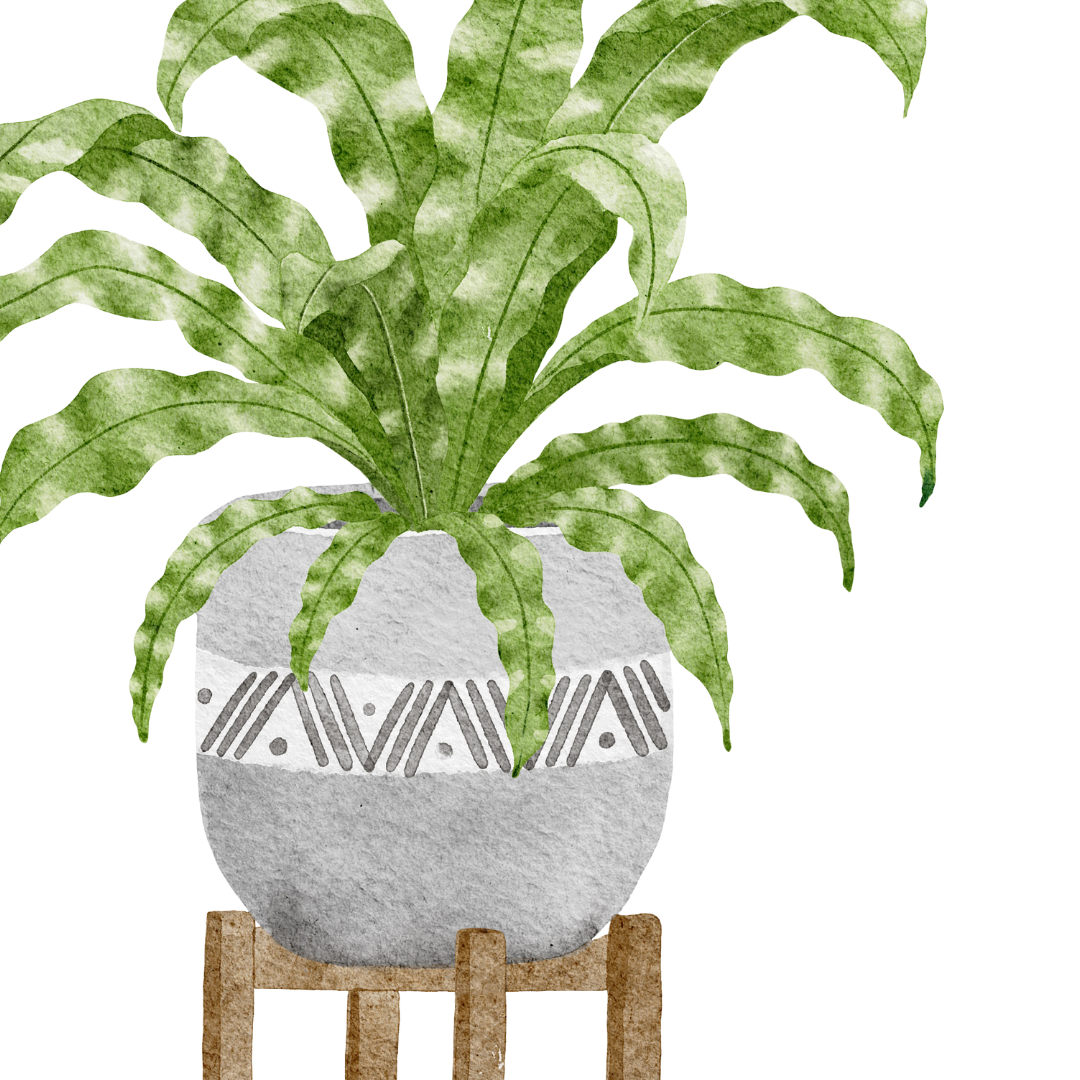 How To Stop Your Heart From Drooping Dead